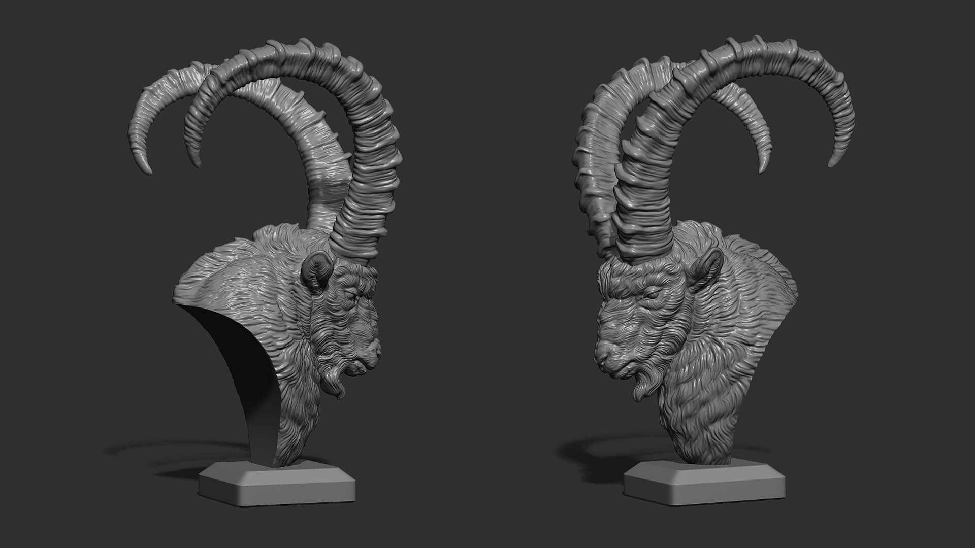 Nubian Ibex Bust - 3D Print Model by guninnik81