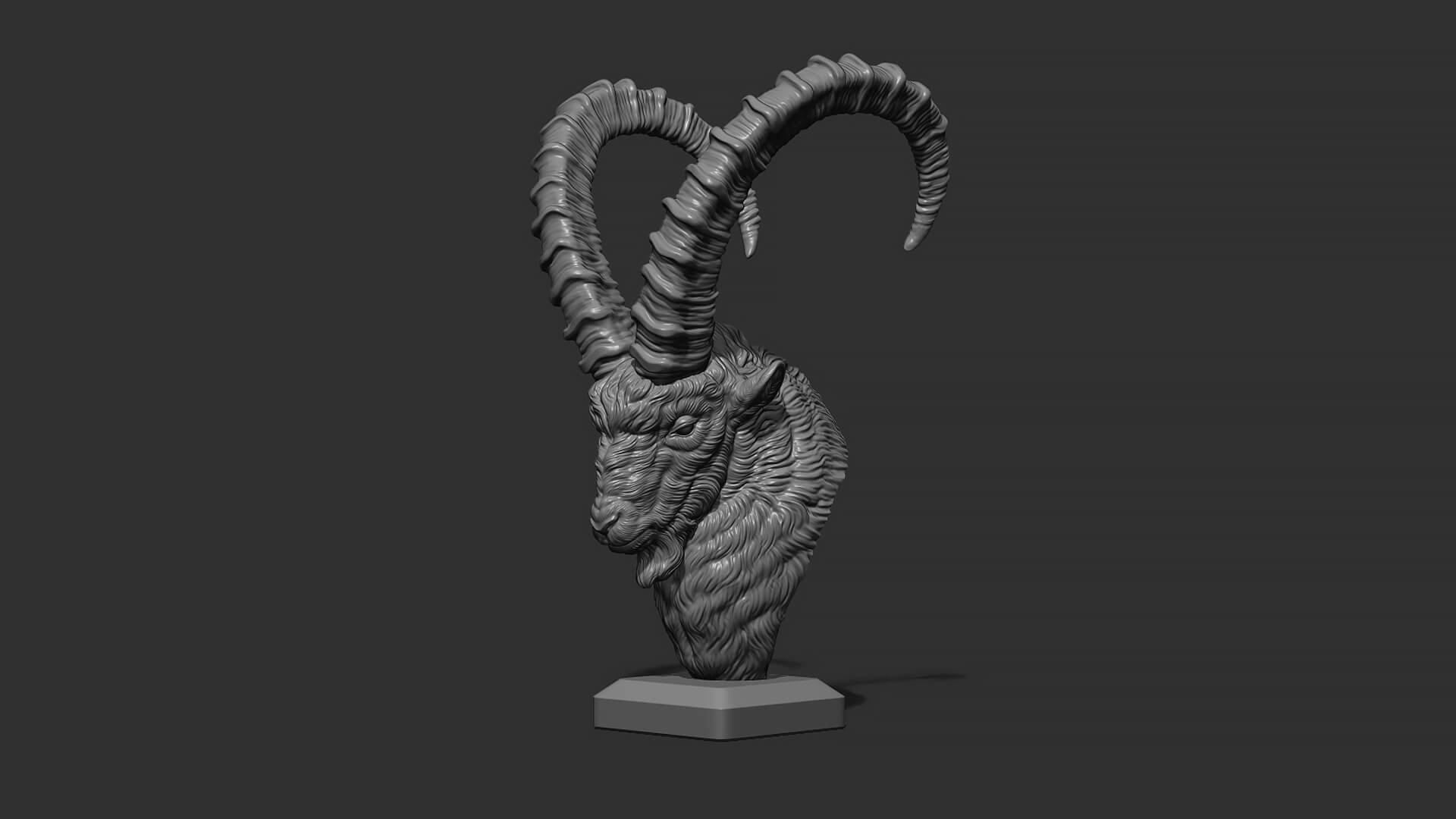 Nubian Ibex Bust - 3D Print Model by guninnik81