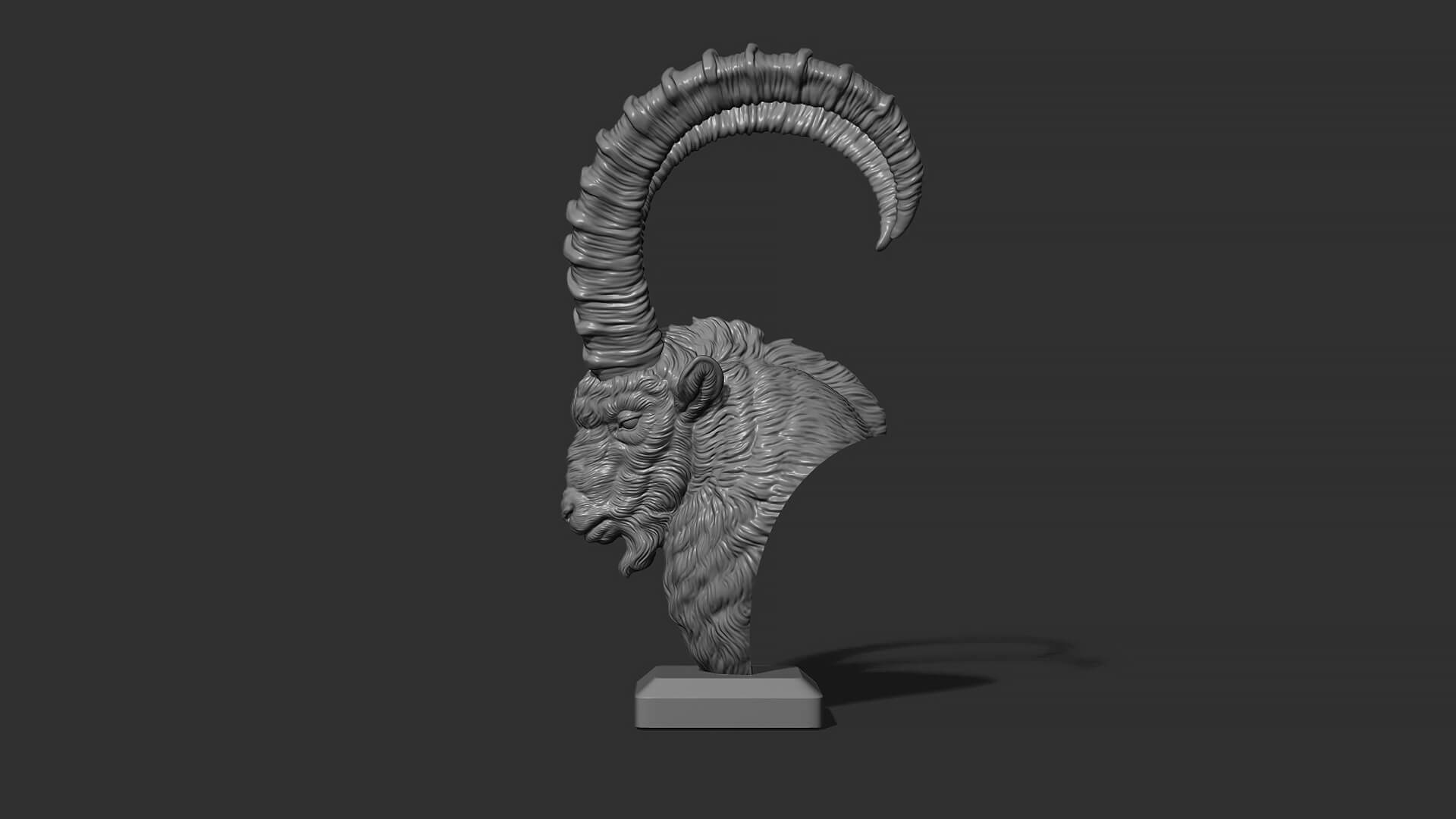 Nubian Ibex Bust - 3D Print Model by guninnik81
