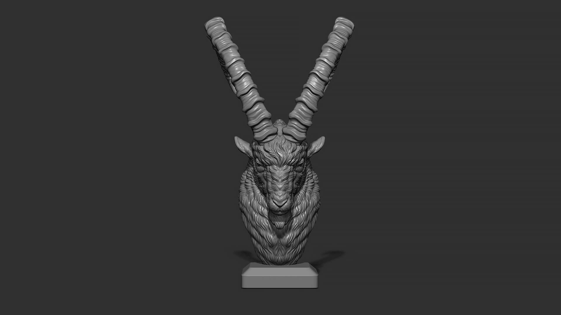 Nubian Ibex Bust - 3D Print Model by guninnik81