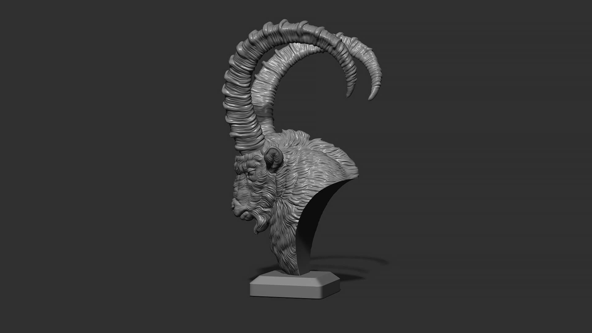 Nubian Ibex Bust - 3D Print Model by guninnik81