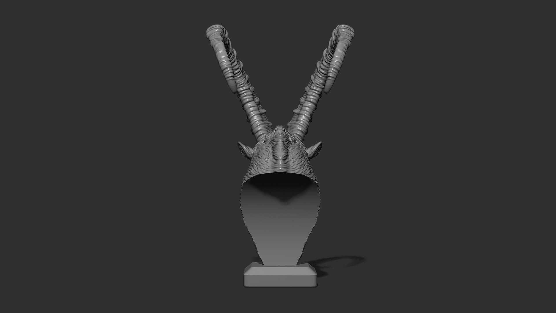 Nubian Ibex Bust - 3D Print Model by guninnik81