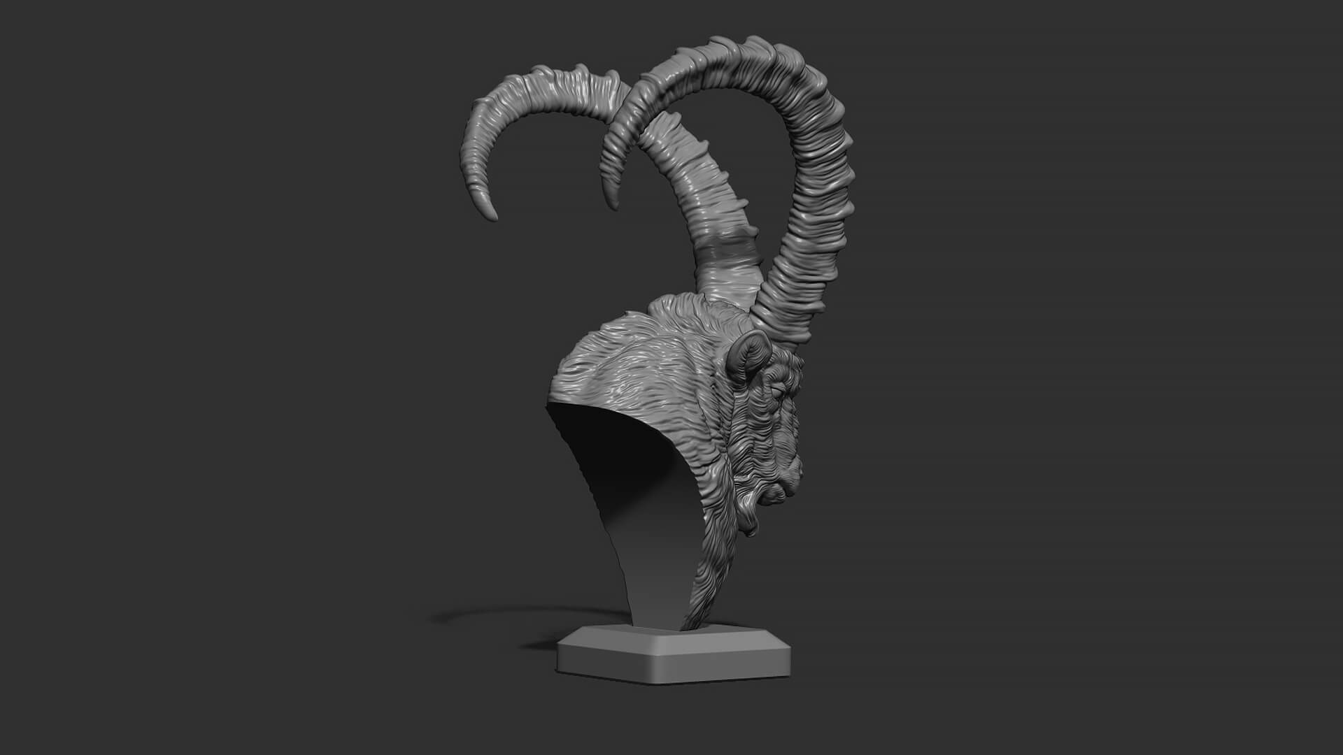 Nubian Ibex Bust - 3D Print Model by guninnik81