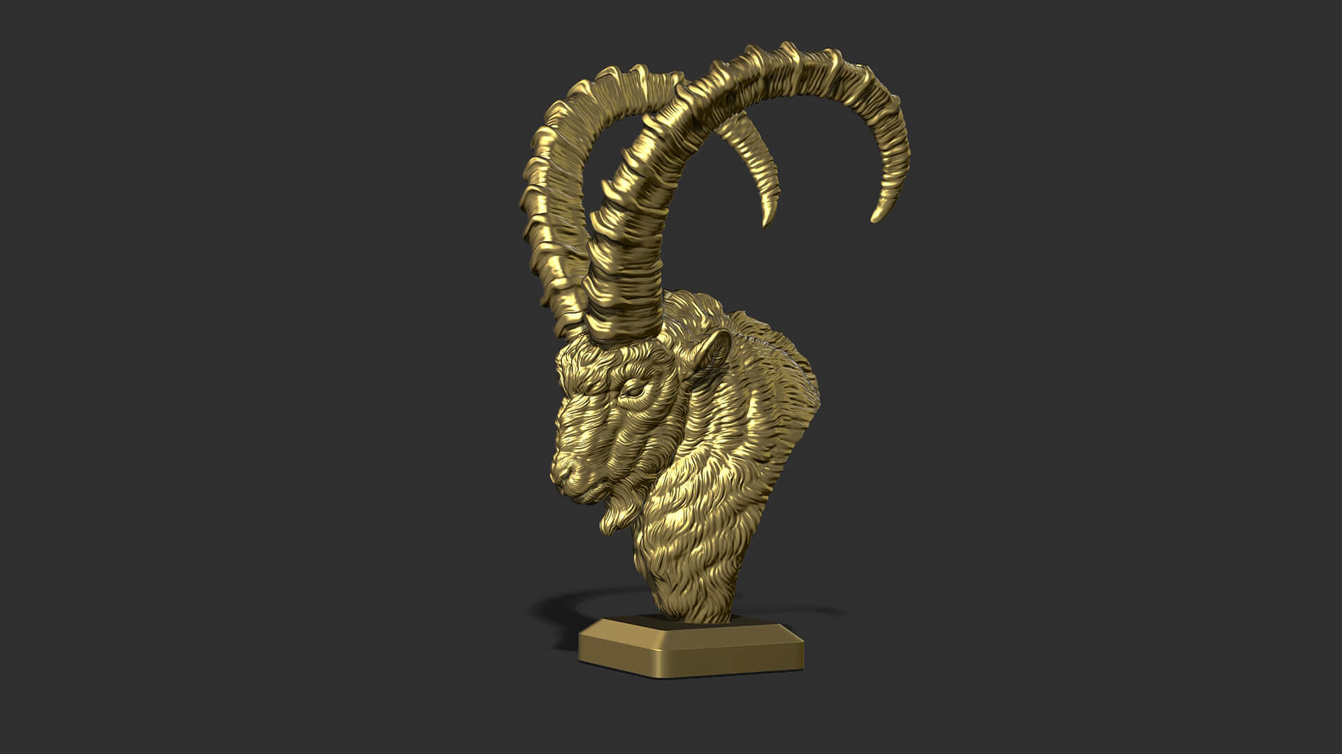 Nubian Ibex Bust - 3D Print Model by guninnik81