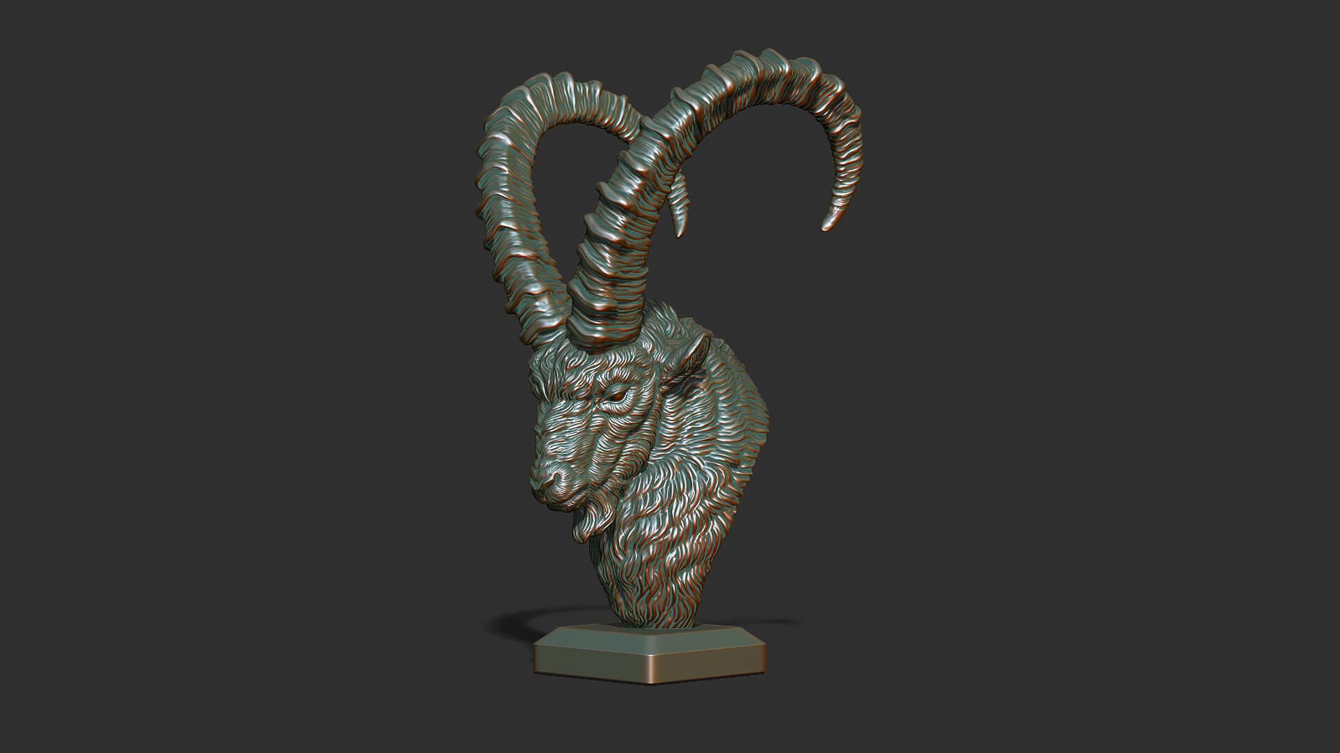 Nubian Ibex Bust - 3D Print Model by guninnik81