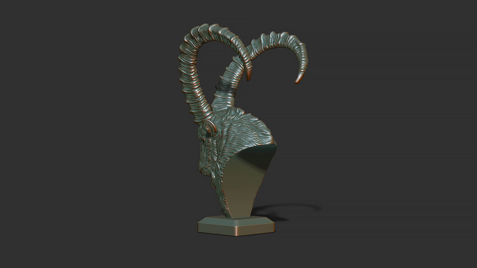 Nubian Ibex Bust - 3D Print Model by guninnik81