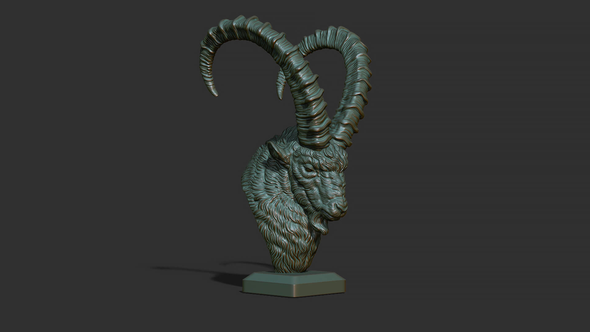 Nubian Ibex Bust - 3D Print Model by guninnik81