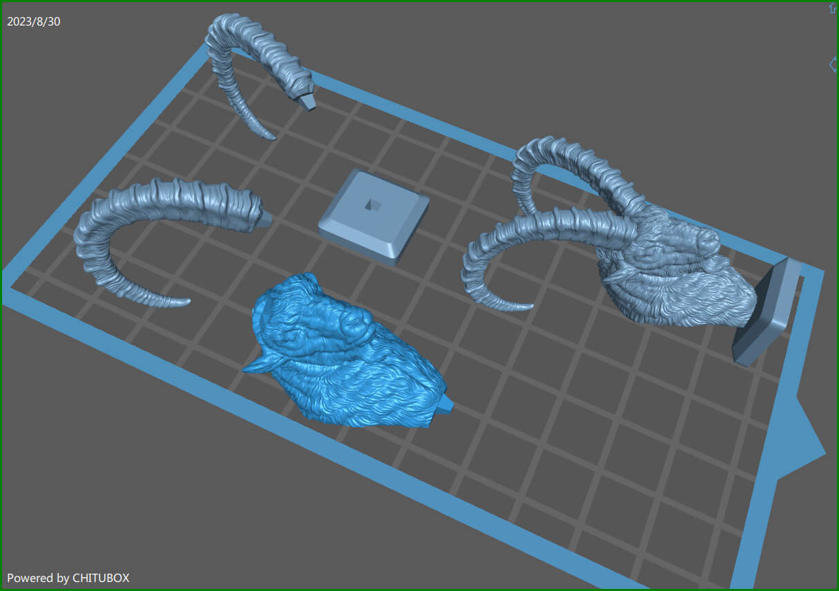 Nubian Ibex Bust - 3D Print Model by guninnik81