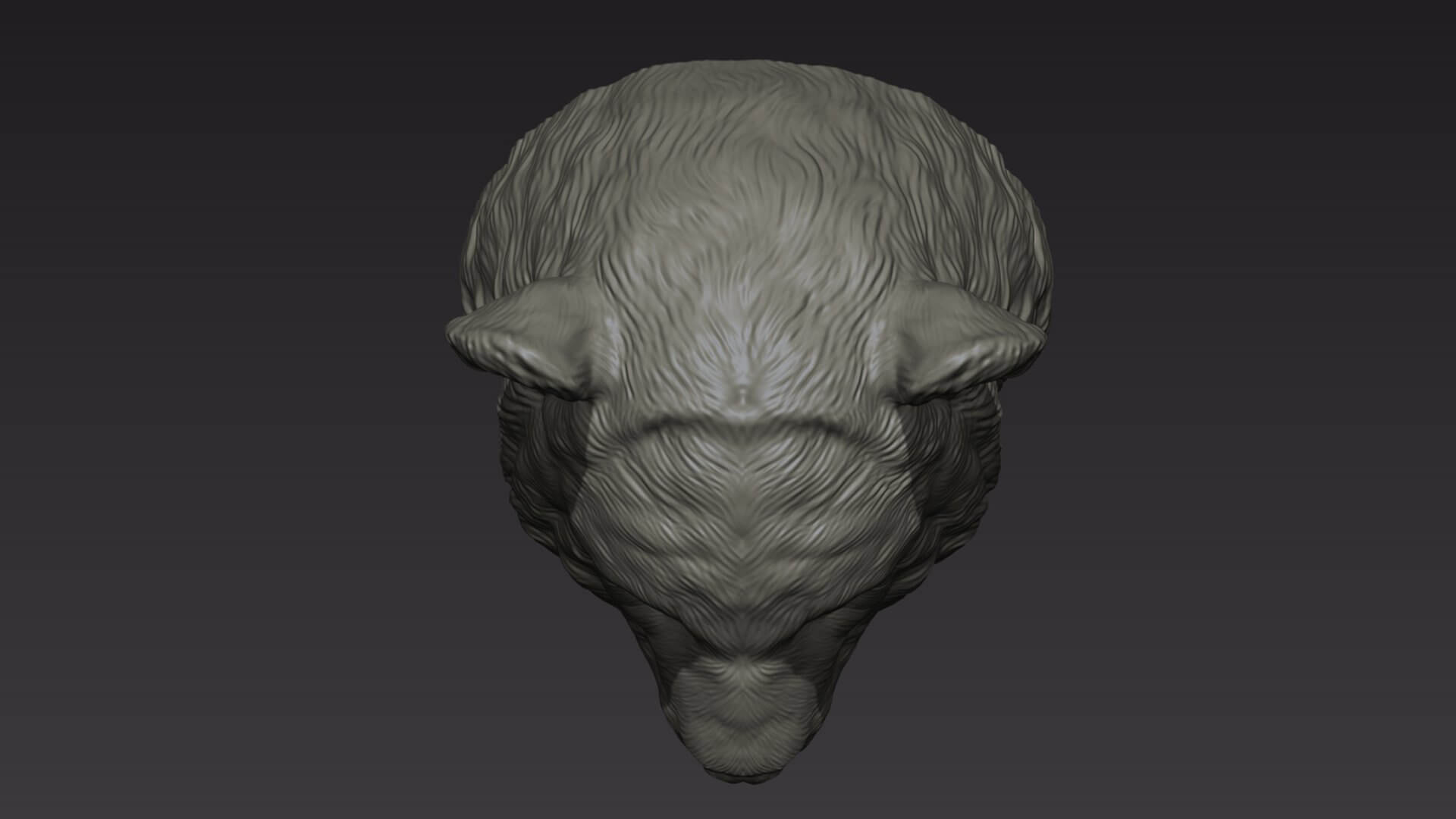 Panda Head - 3D Model by guninnik81