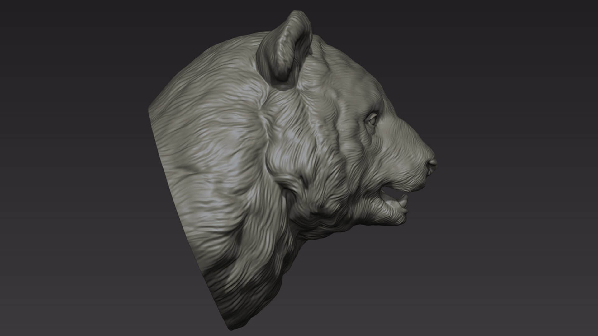 Panda Head - 3D Model by guninnik81