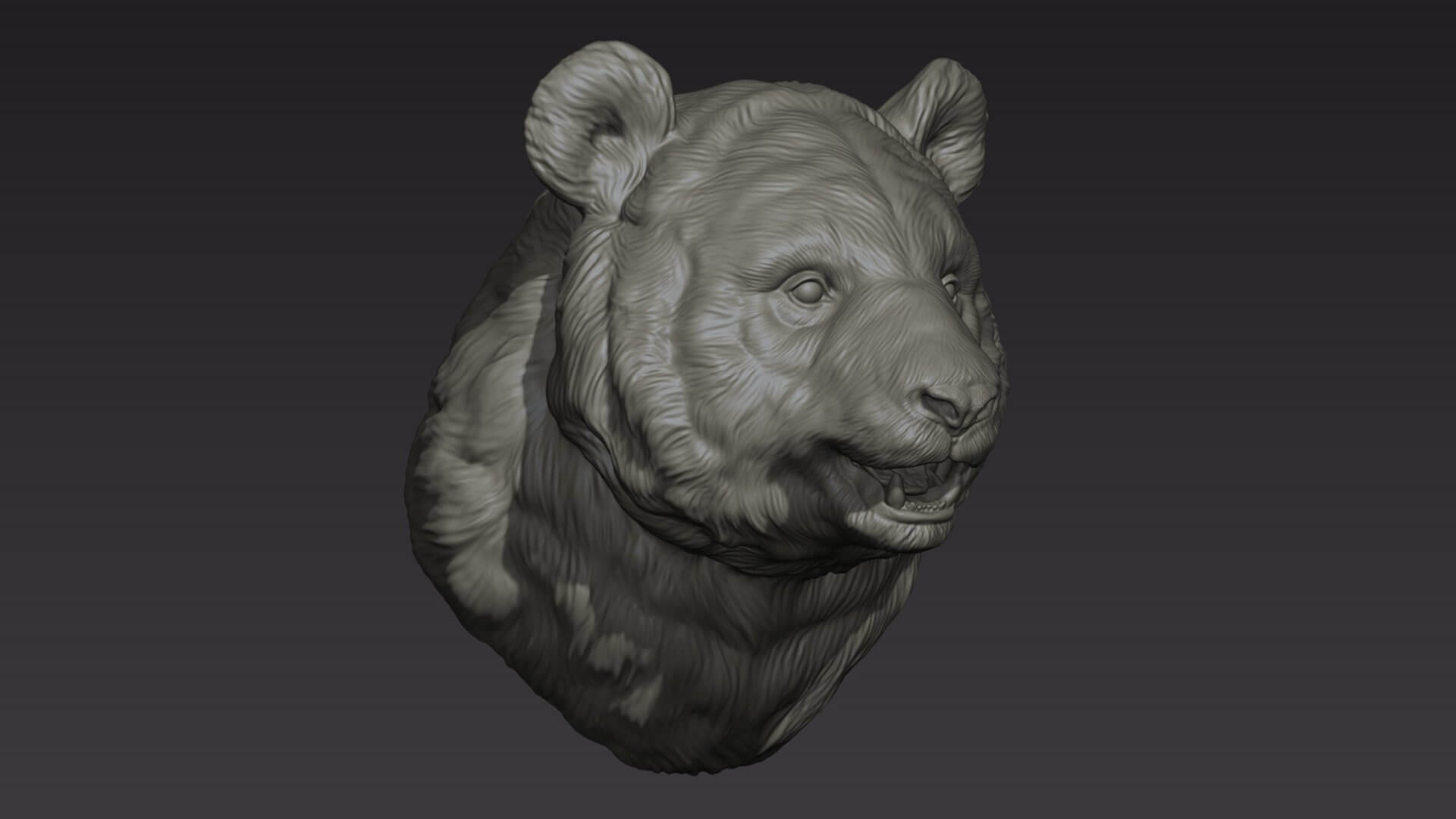 Panda Head - 3D Model by guninnik81