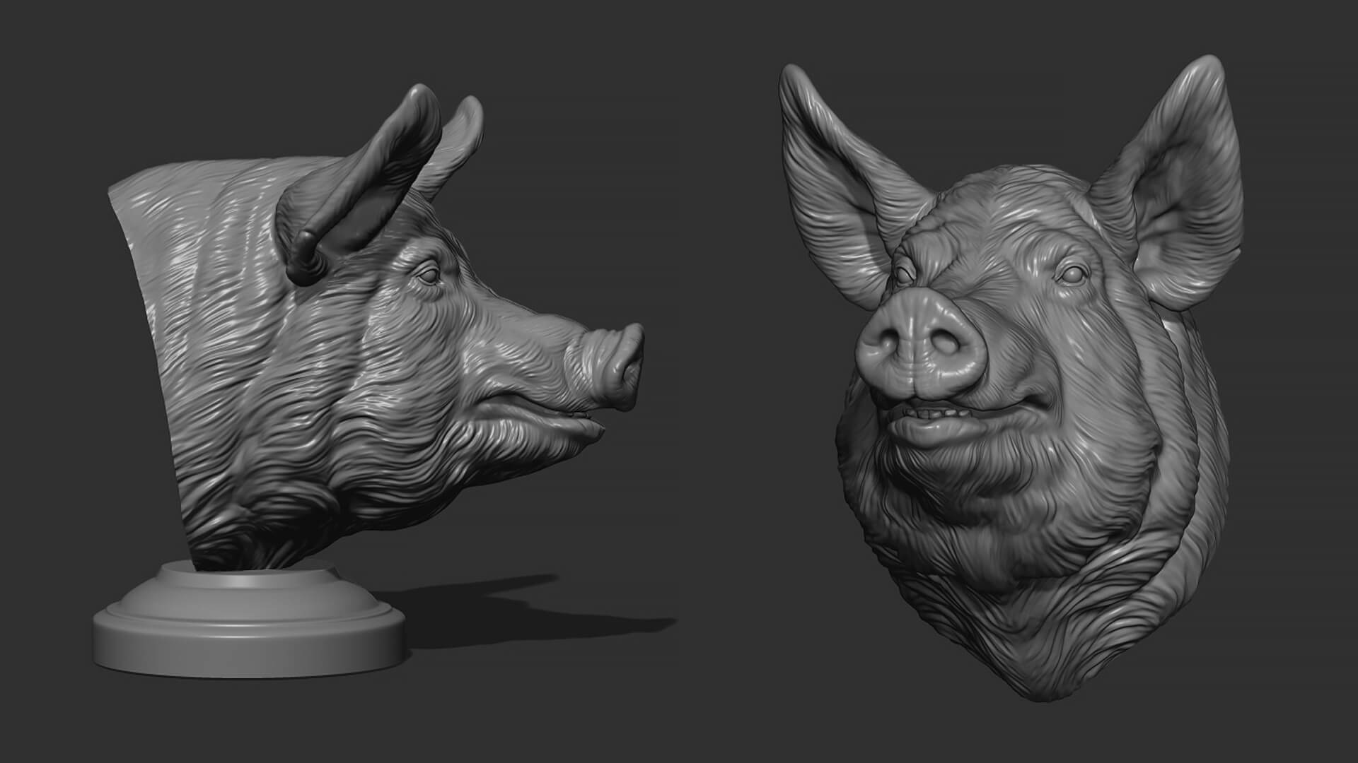Pig Head Bust - 3D Print Model by guninnik81