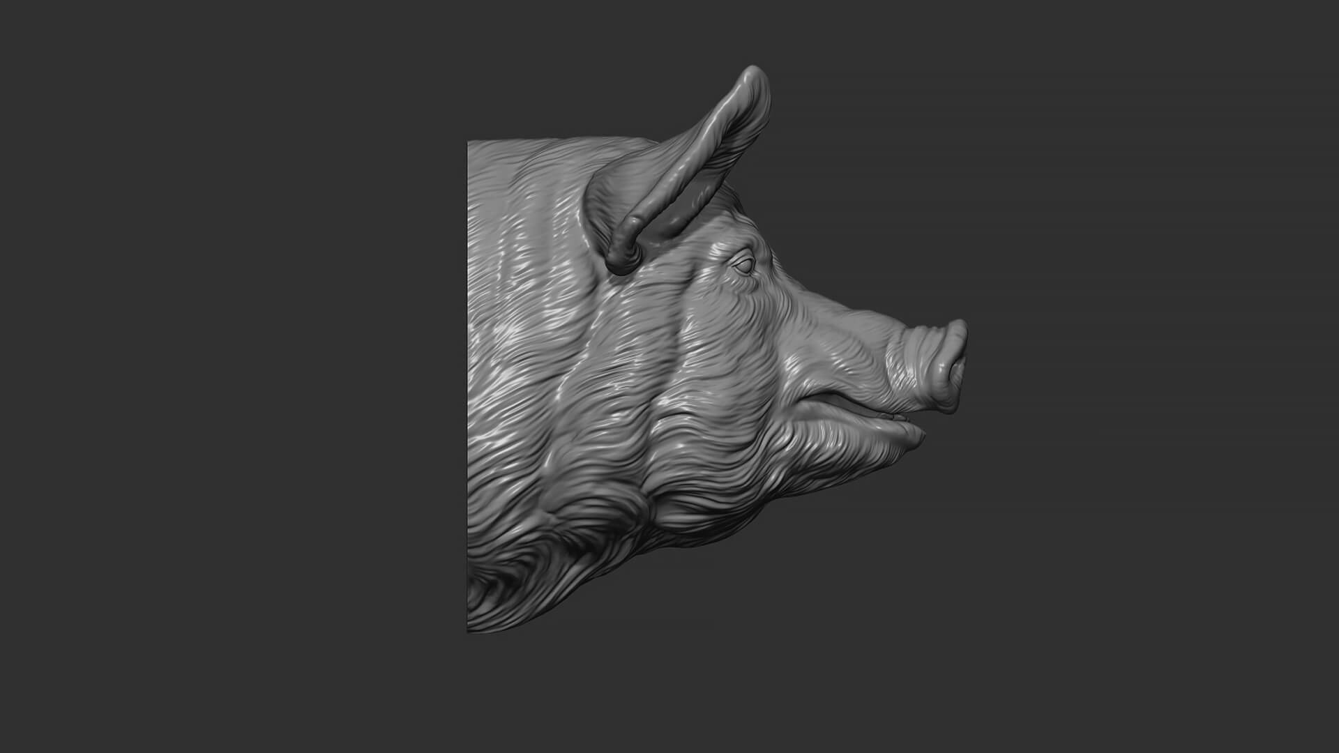 Pig Head Bust - 3D Print Model by guninnik81