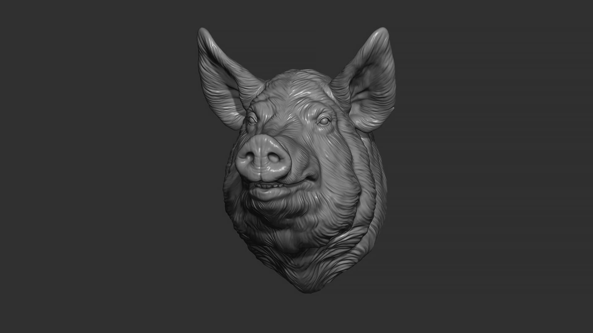 Pig Head Bust - 3D Print Model by guninnik81