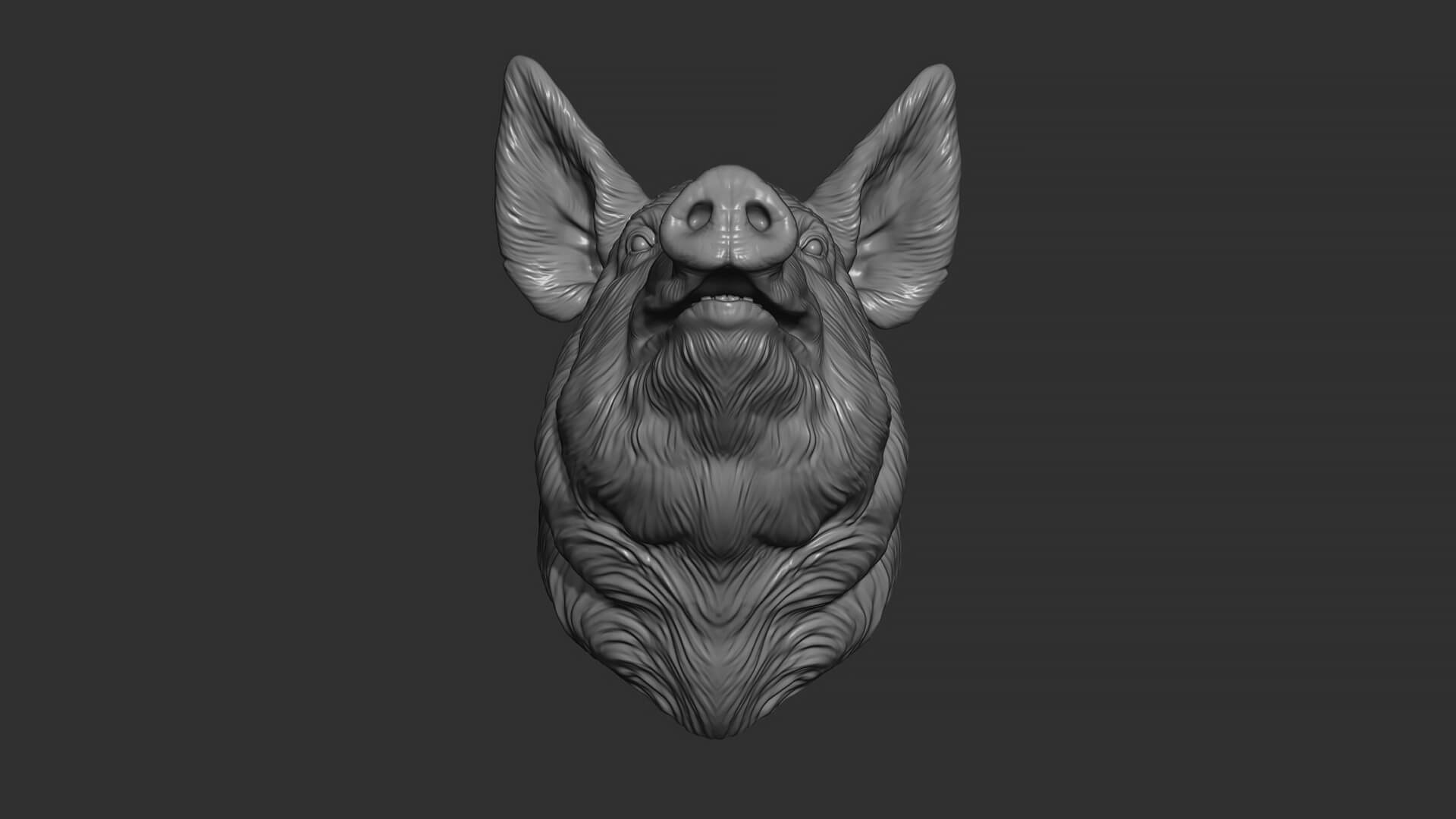 Pig Head Bust - 3D Print Model by guninnik81