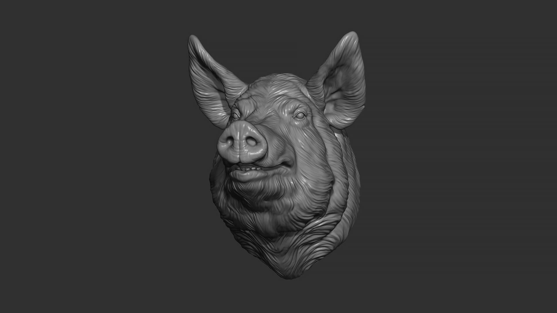 Pig Head Bust - 3D Print Model by guninnik81