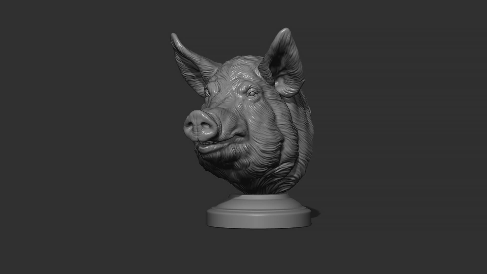 Pig Head Bust - 3D Print Model by guninnik81