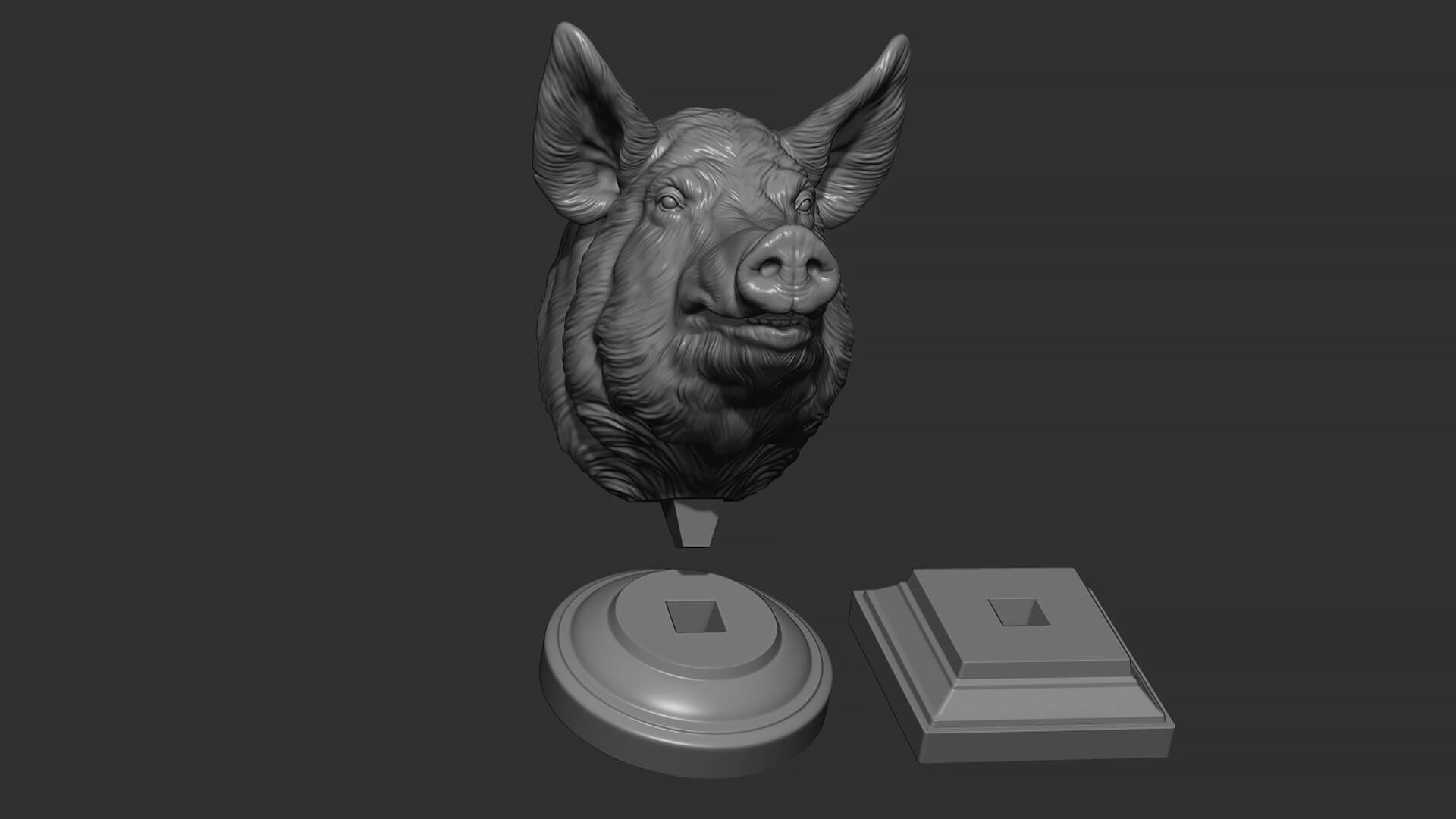 Pig Head Bust - 3D Print Model by guninnik81