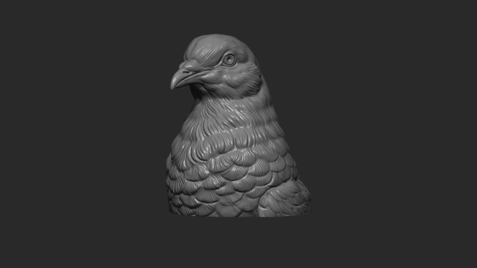 Pigeon Bust Bird - 3D Model by guninnik81