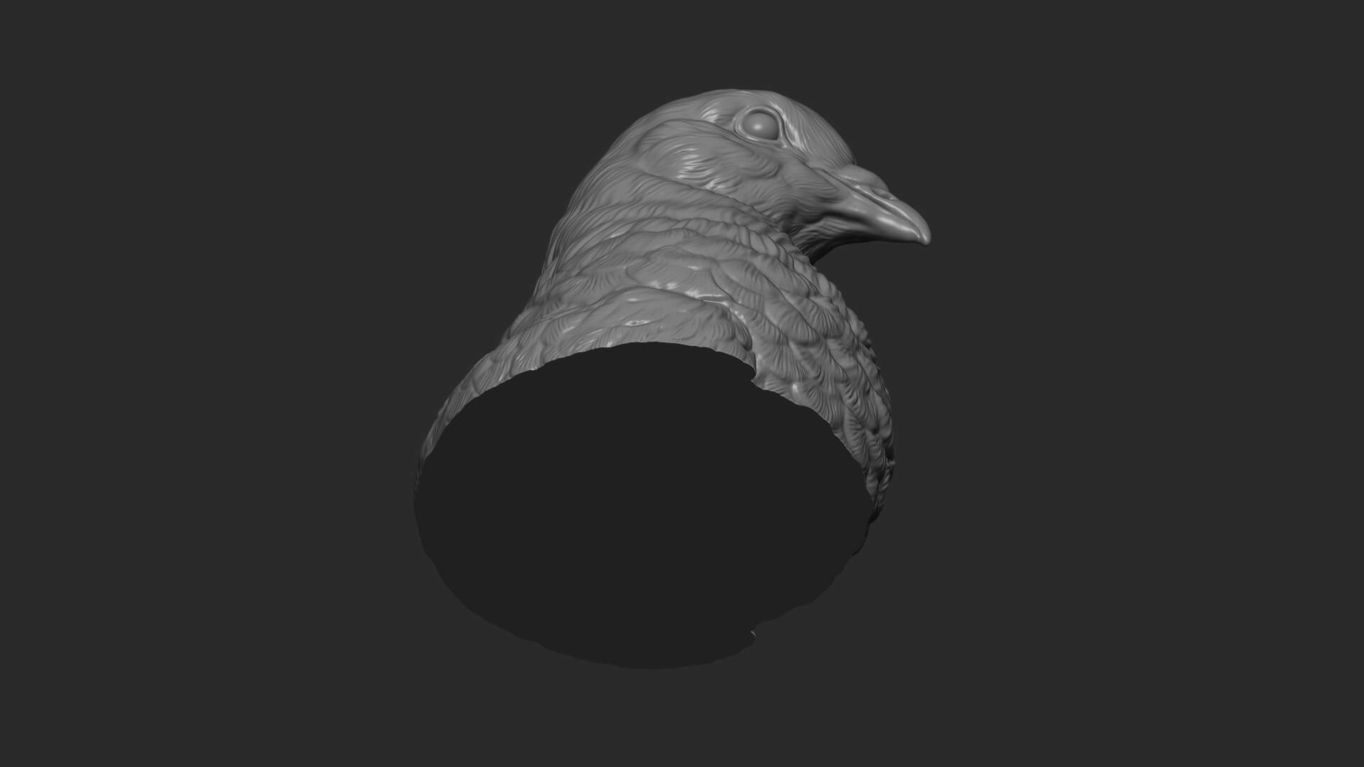 Pigeon Bust Bird - 3D Model by guninnik81