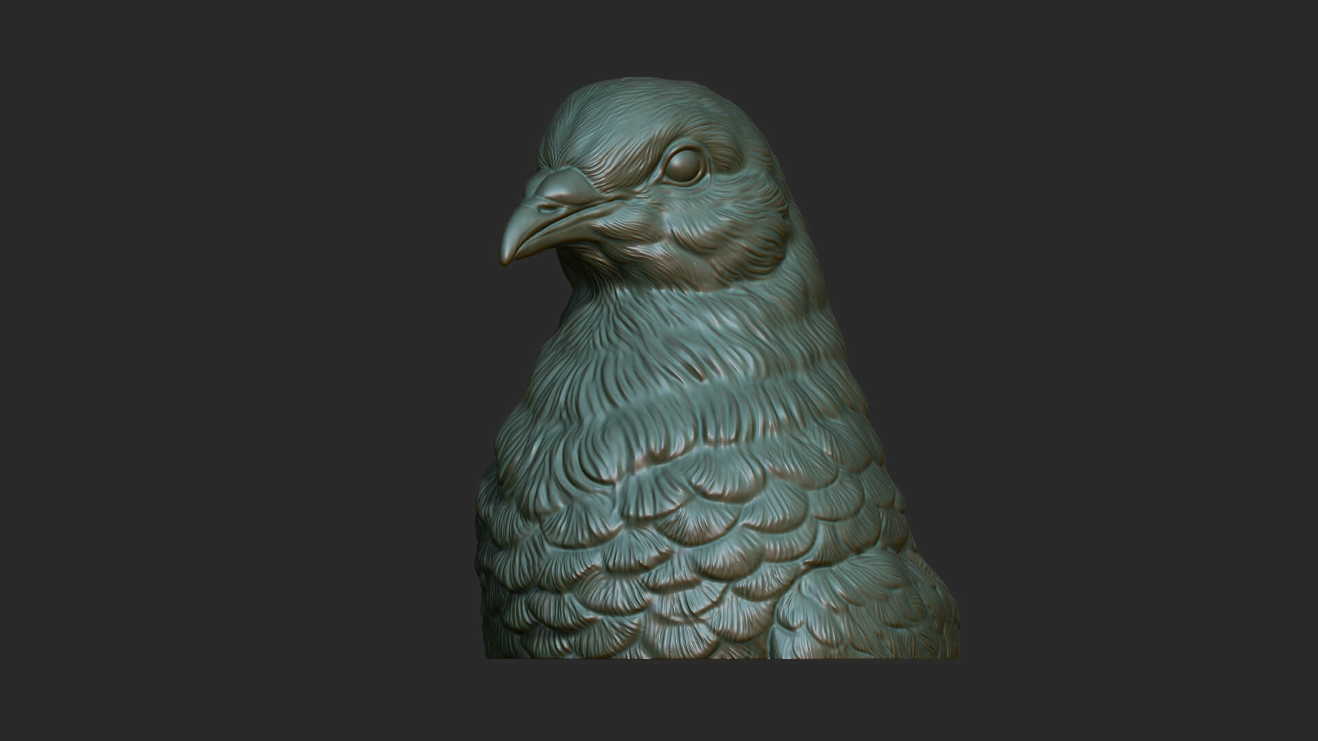 Pigeon Bust Bird - 3D Model by guninnik81