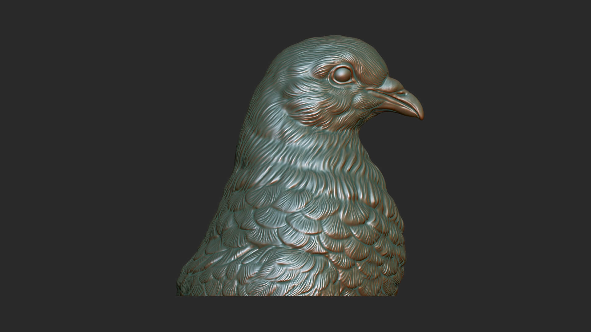 Pigeon Bust Bird - 3D Model by guninnik81