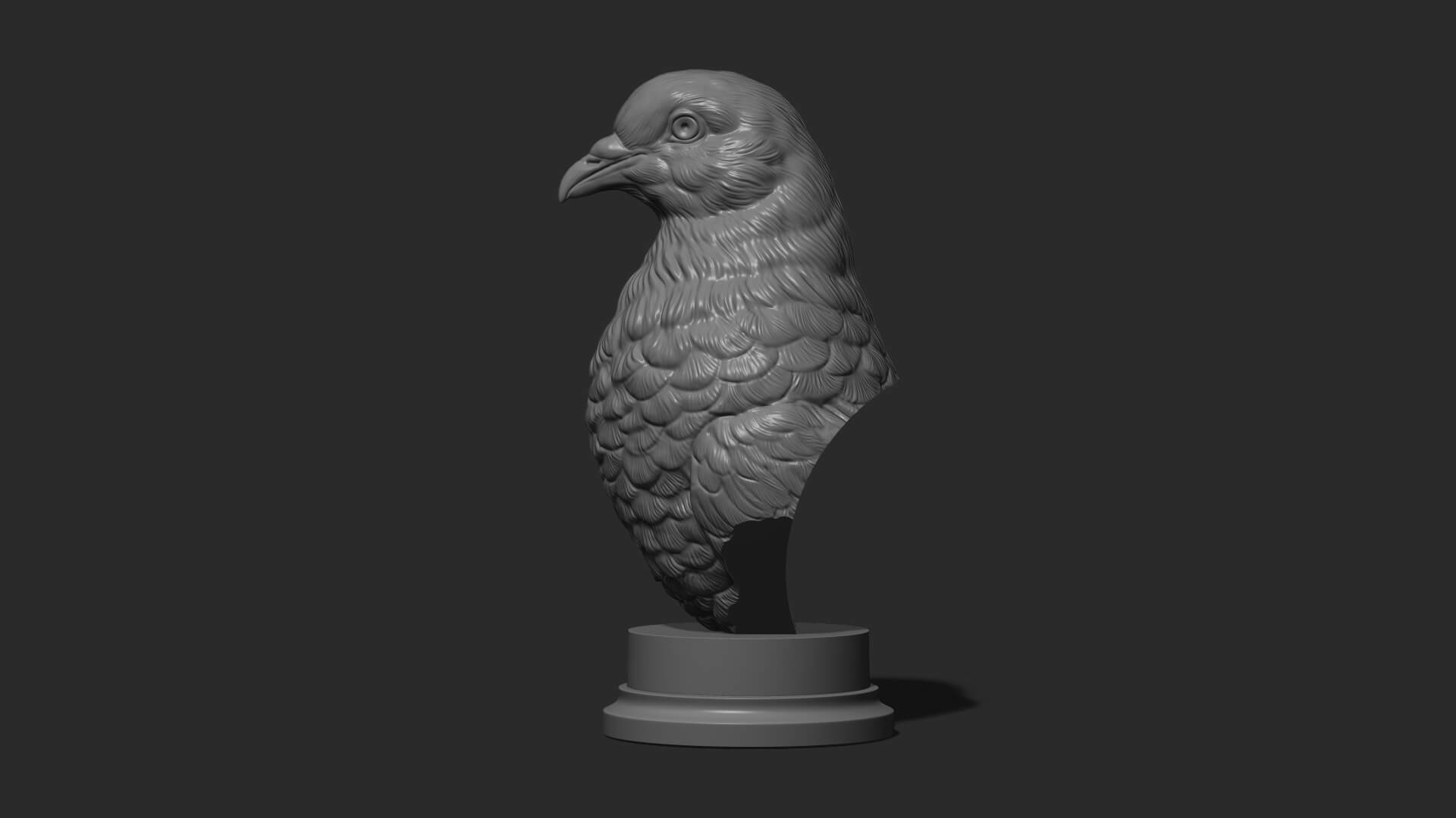 Pigeon Bust Bird - 3D Model by guninnik81