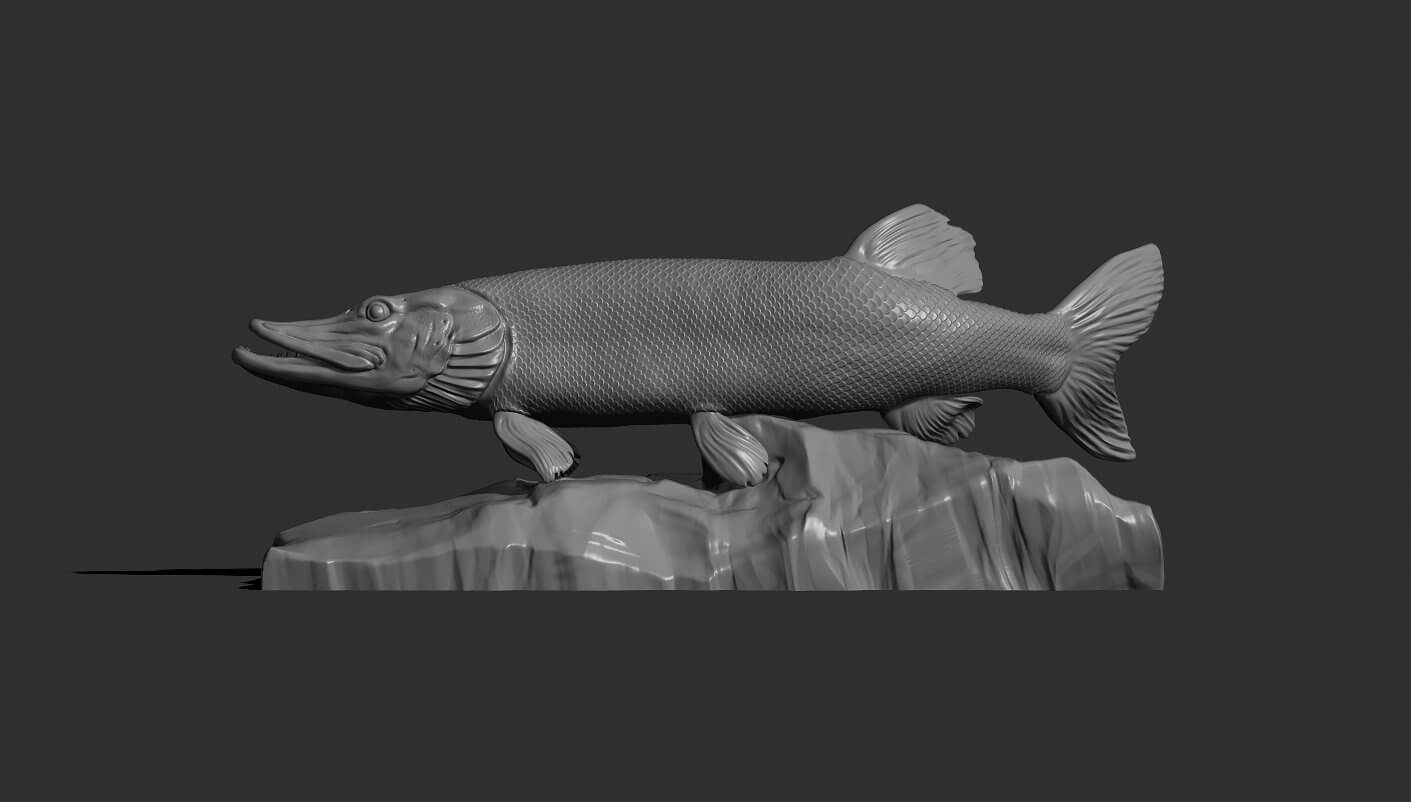 Pike Fish On The Base - 3D Model by guninnik81