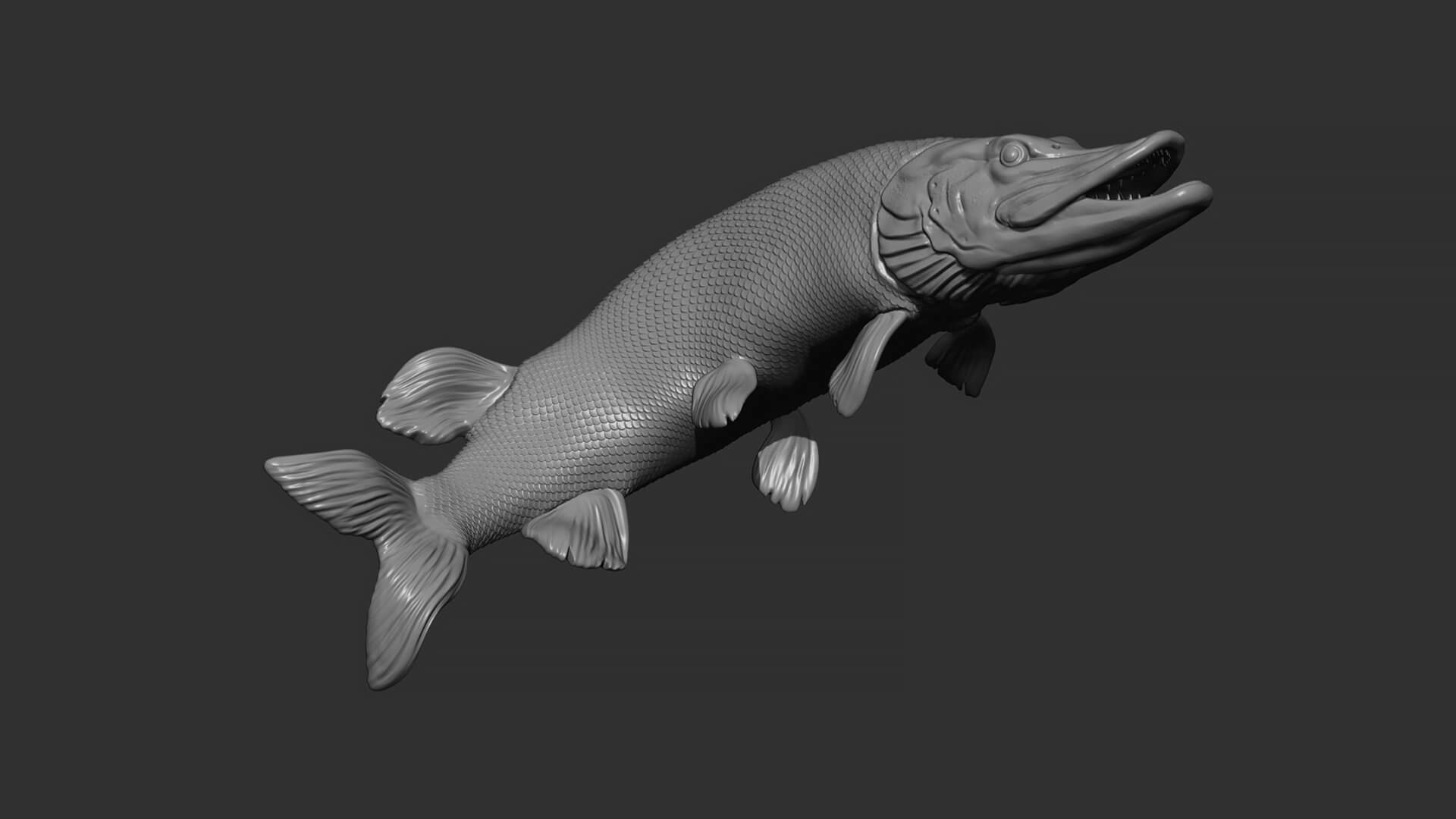 Pike Fish - 3D Model by guninnik81