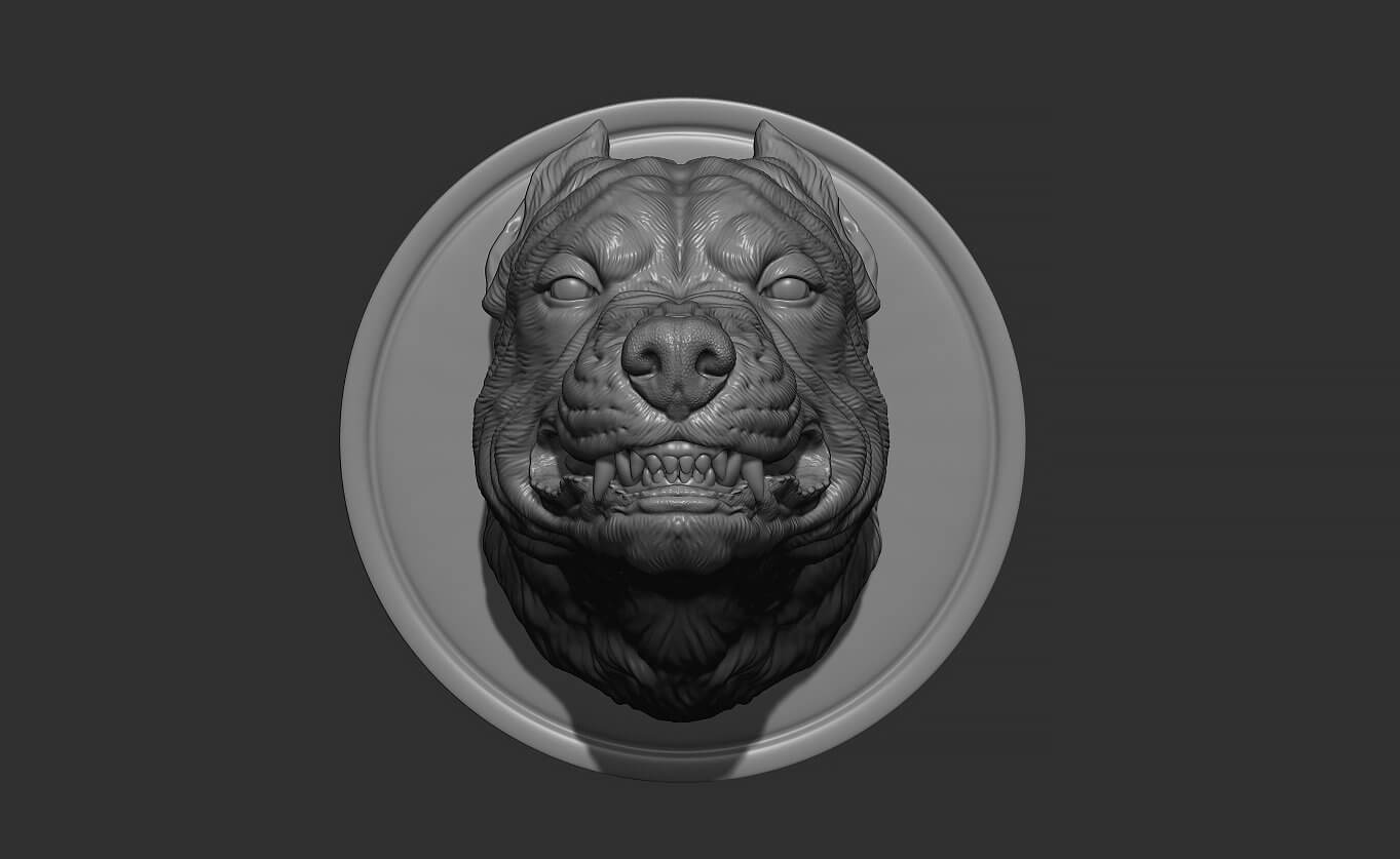 Pitbull Angry Head - 3D Model by guninnik81