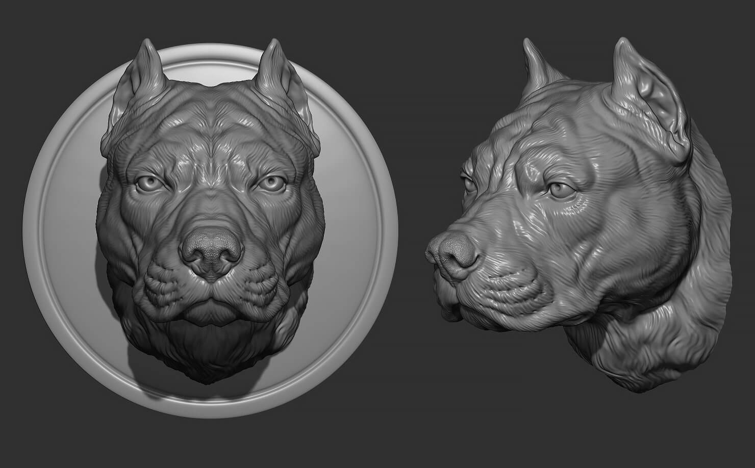 Pitbull Gloomy Head - 3D Model by guninnik81