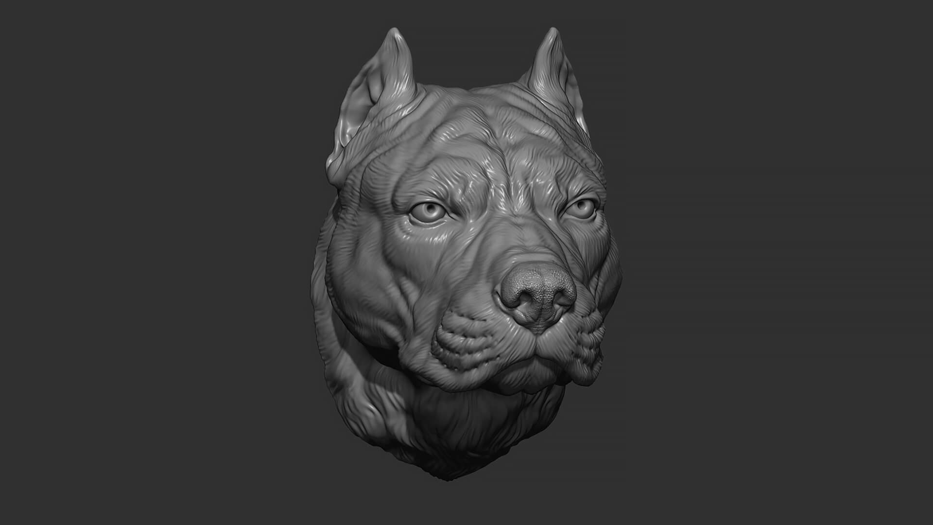 Pitbull Gloomy Head - 3D Model by guninnik81