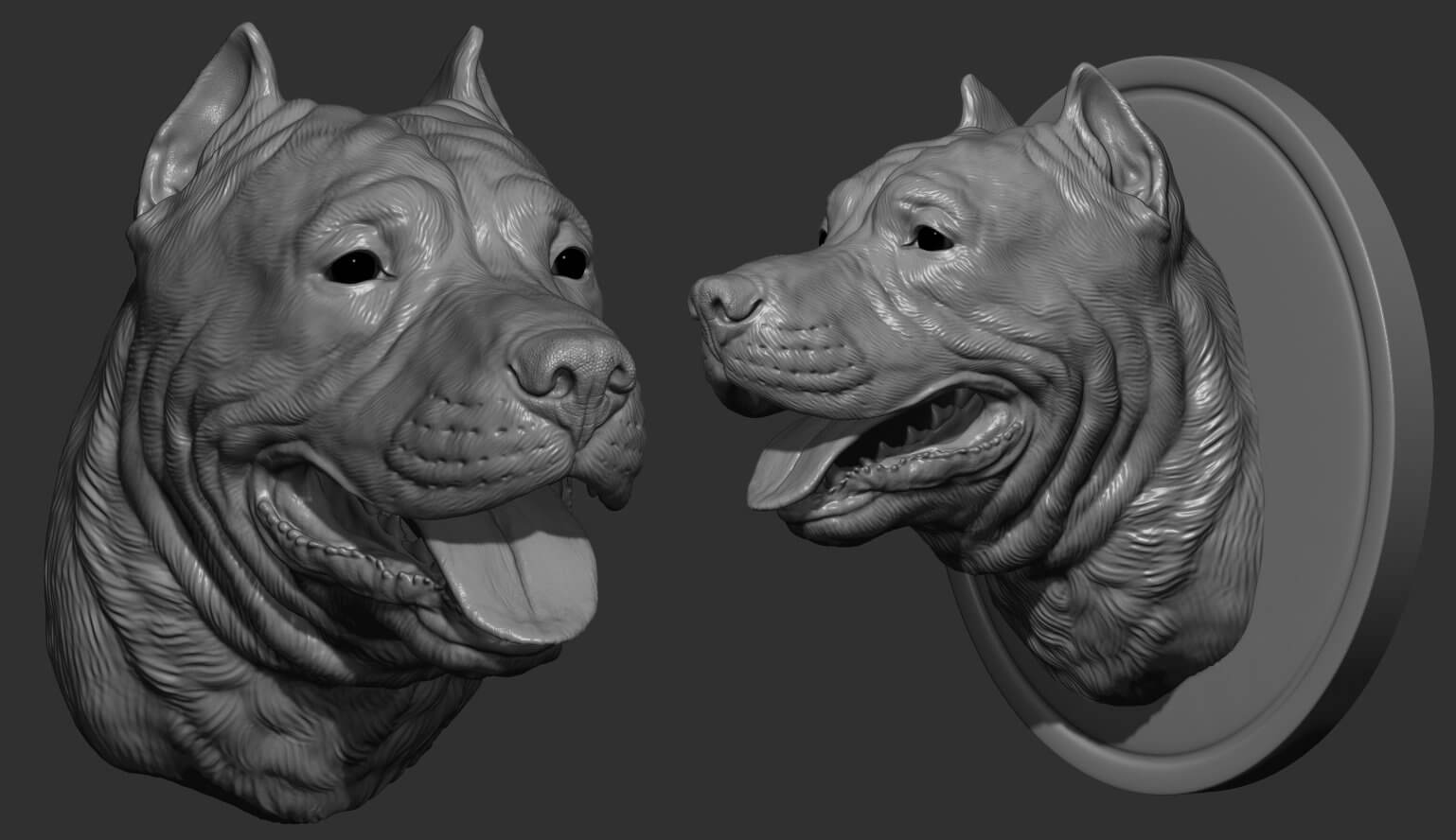 Pitbull Terrier Head - 3D Model by guninnik81