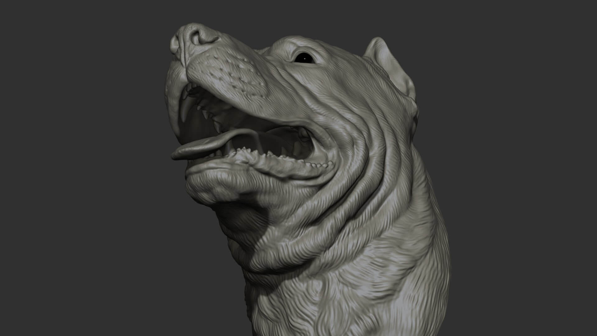 Pitbull Terrier Head - 3D Model by guninnik81