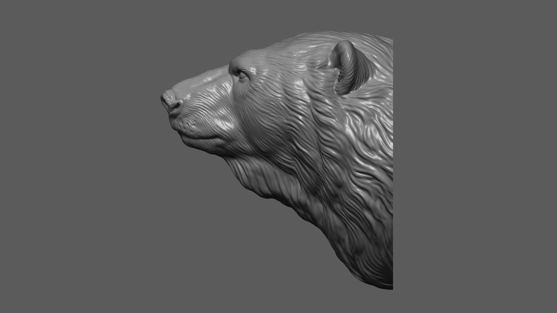 Polar Bear Bust - 3D Model by guninnik81
