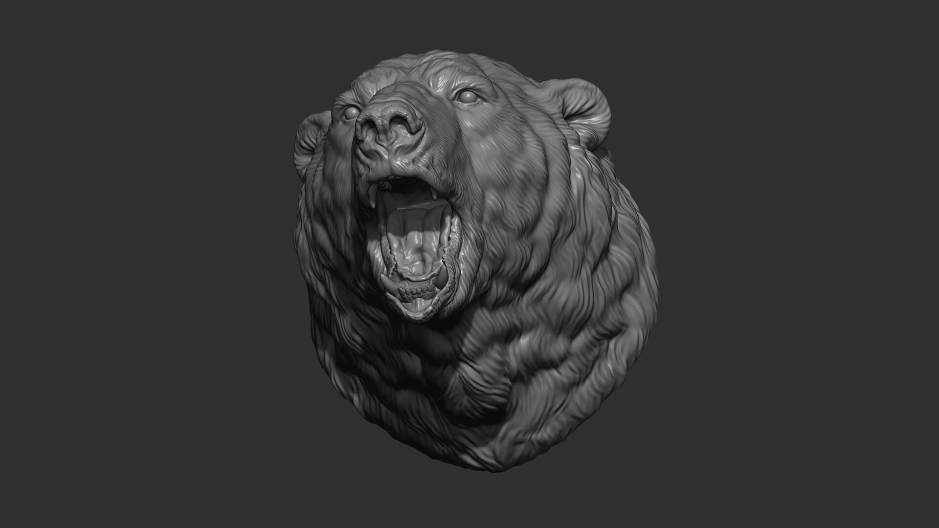 Polar Bear Growls - 3D Model by guninnik81