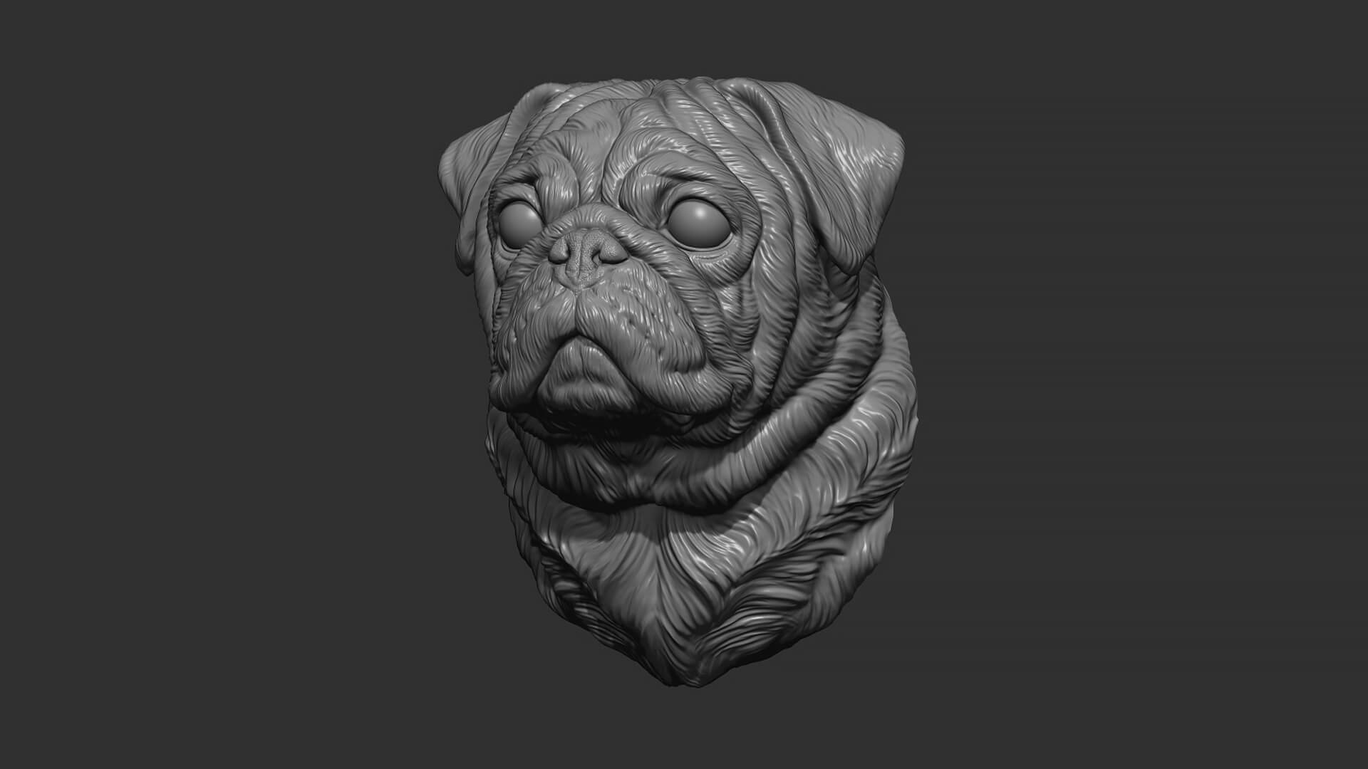 Pug Dog Head - 3D Print Model by guninnik81