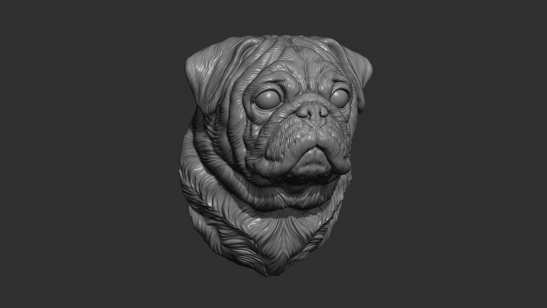 Pug Dog Head - 3D Print Model by guninnik81