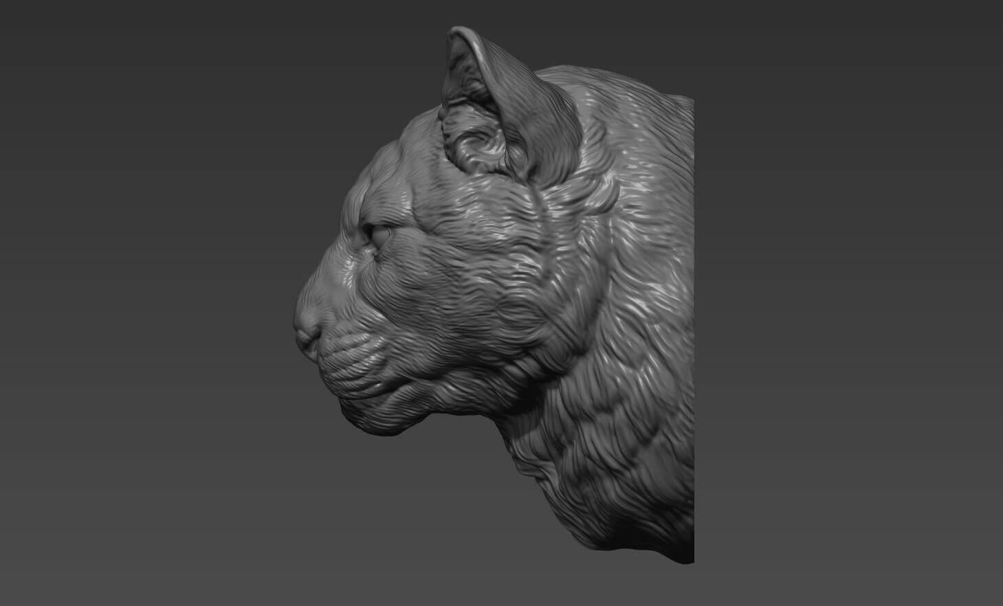 Puma Cougar Head - 3D Model by guninnik81