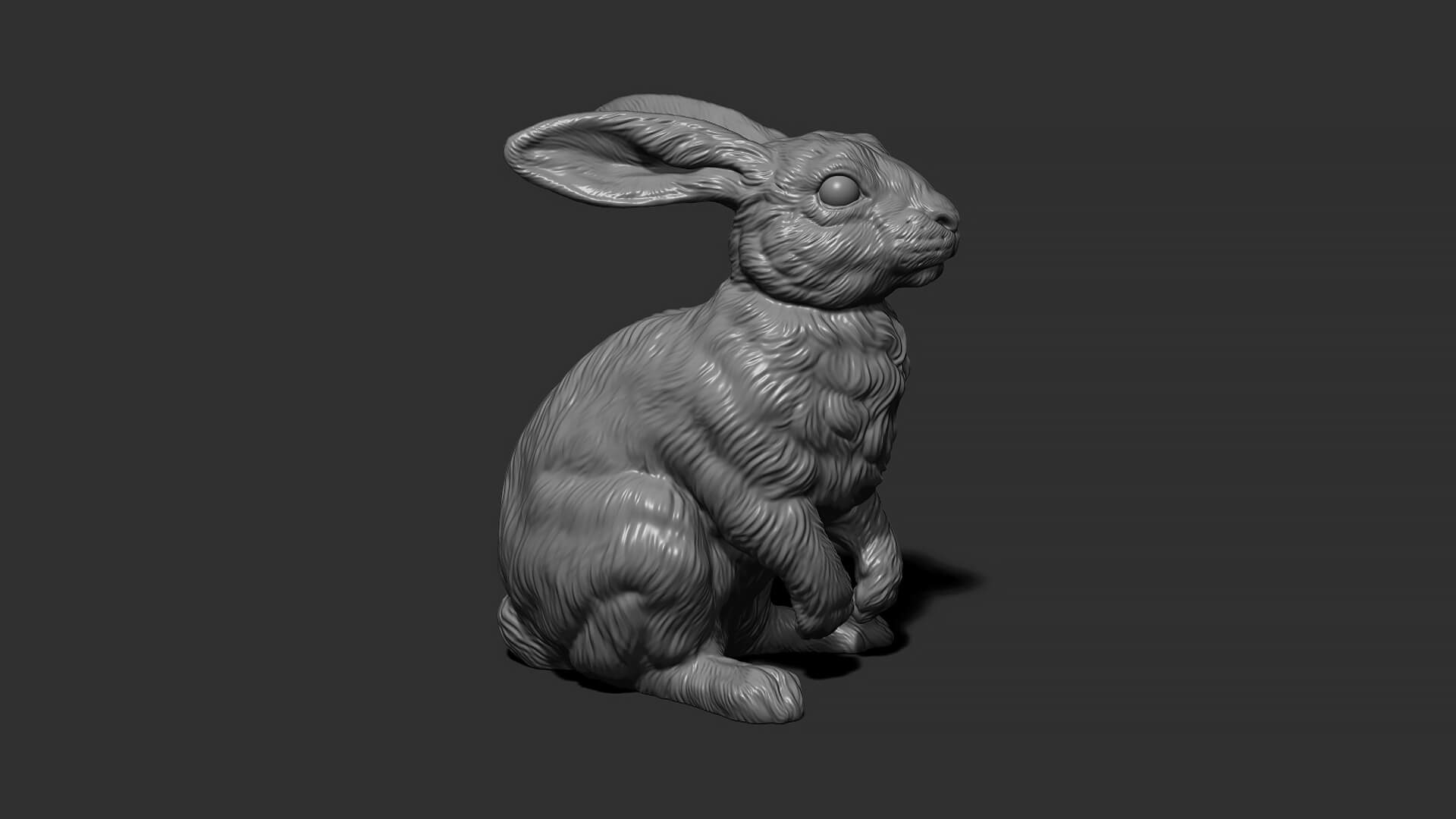 Rabbit Sitting - 3D Model by guninnik81