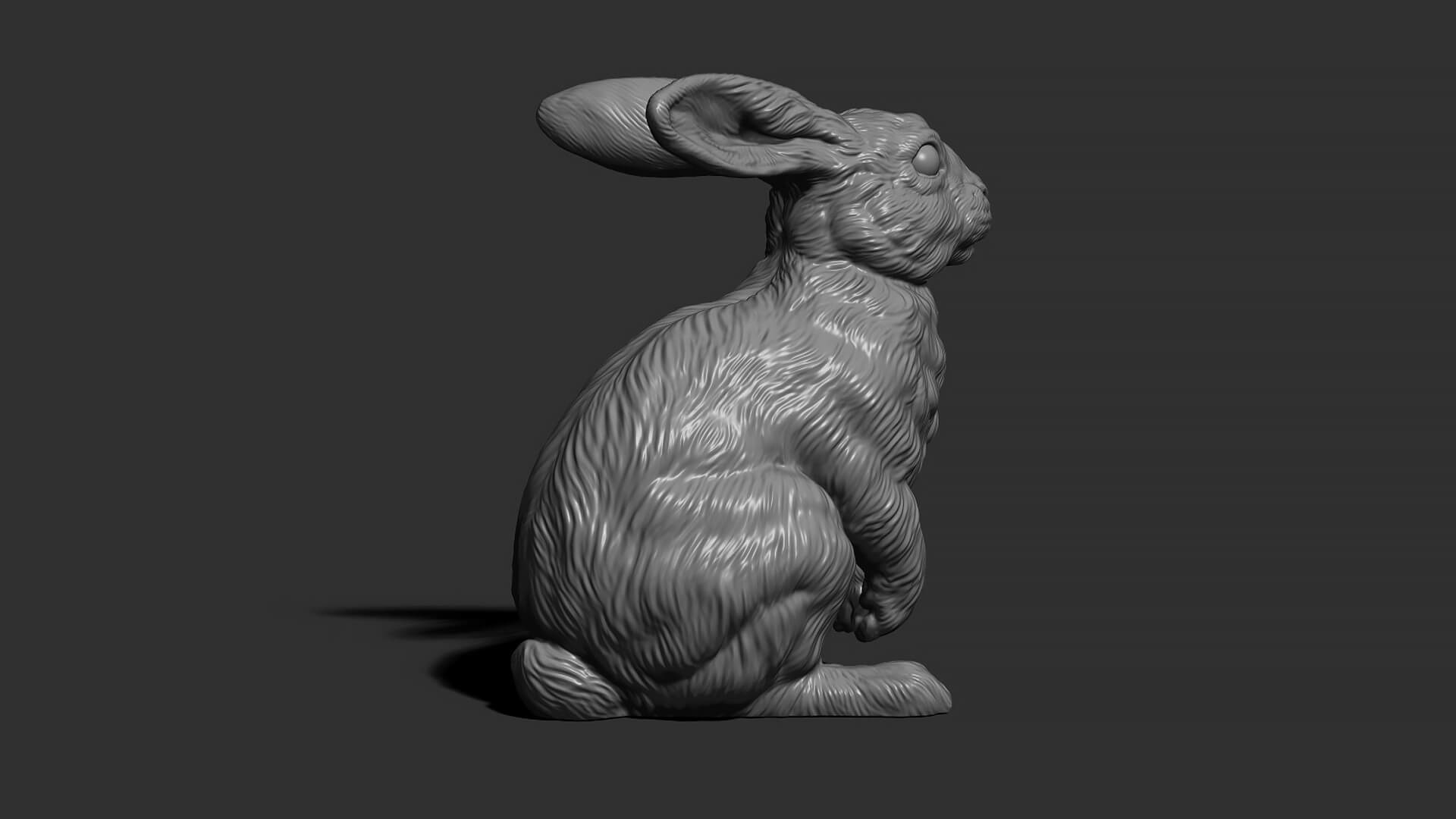 Rabbit Sitting - 3D Model by guninnik81