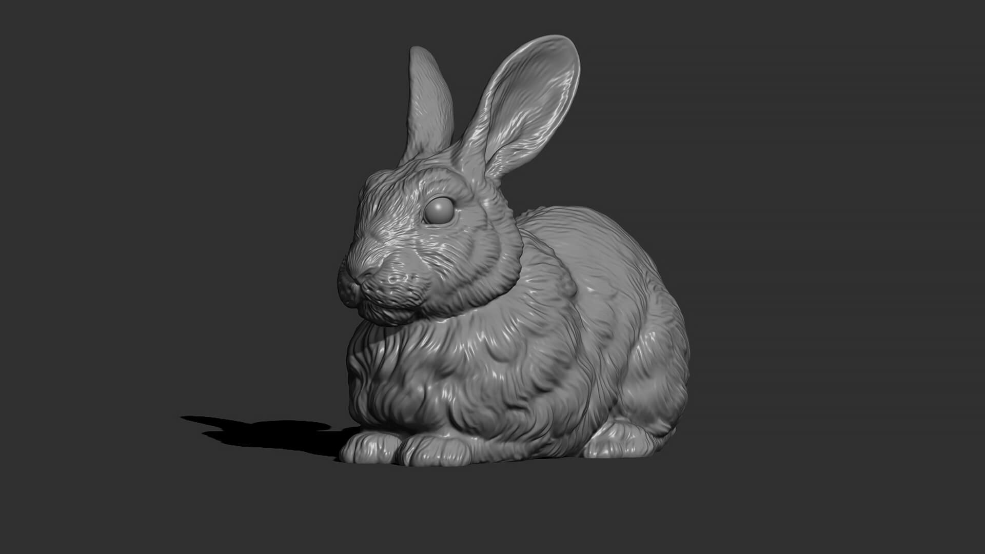 Rabbit Fluffy - 3D Model by guninnik81