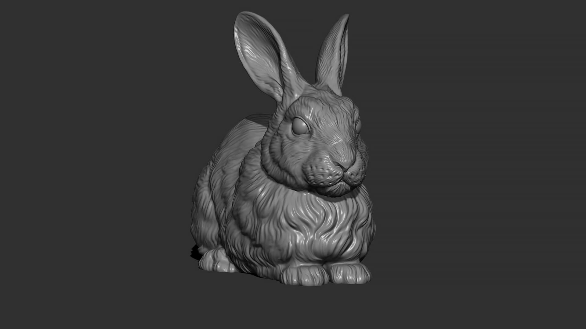 Rabbit Fluffy - 3D Model by guninnik81