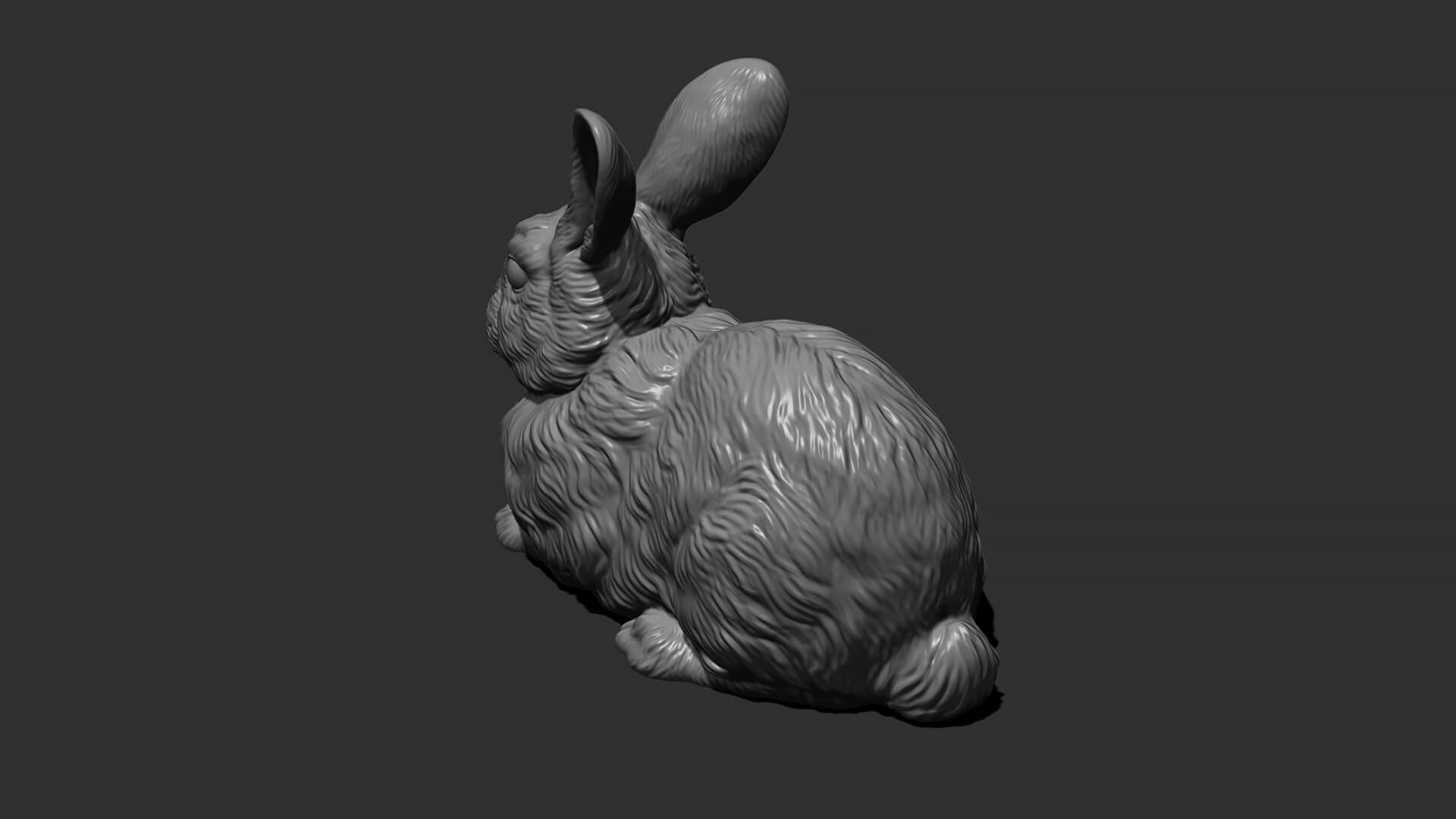 Rabbit Fluffy - 3D Model by guninnik81