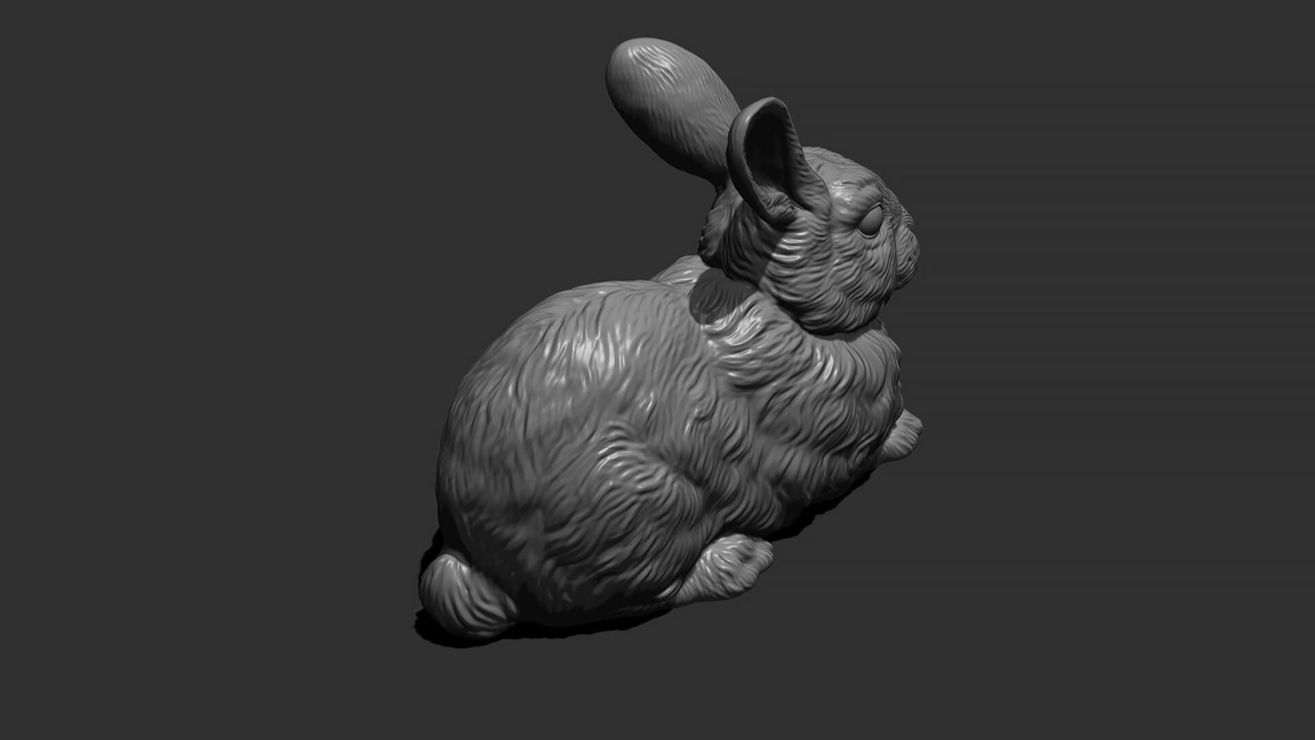 Rabbit Fluffy - 3D Model by guninnik81