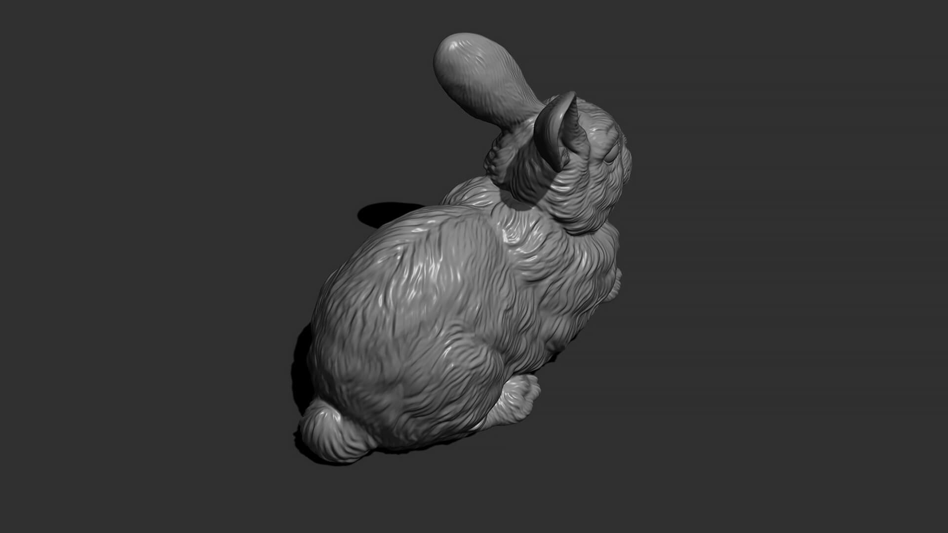 Rabbit Fluffy - 3D Model by guninnik81
