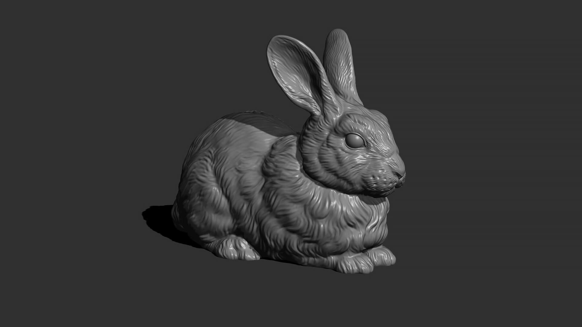 Rabbit Fluffy - 3D Model by guninnik81