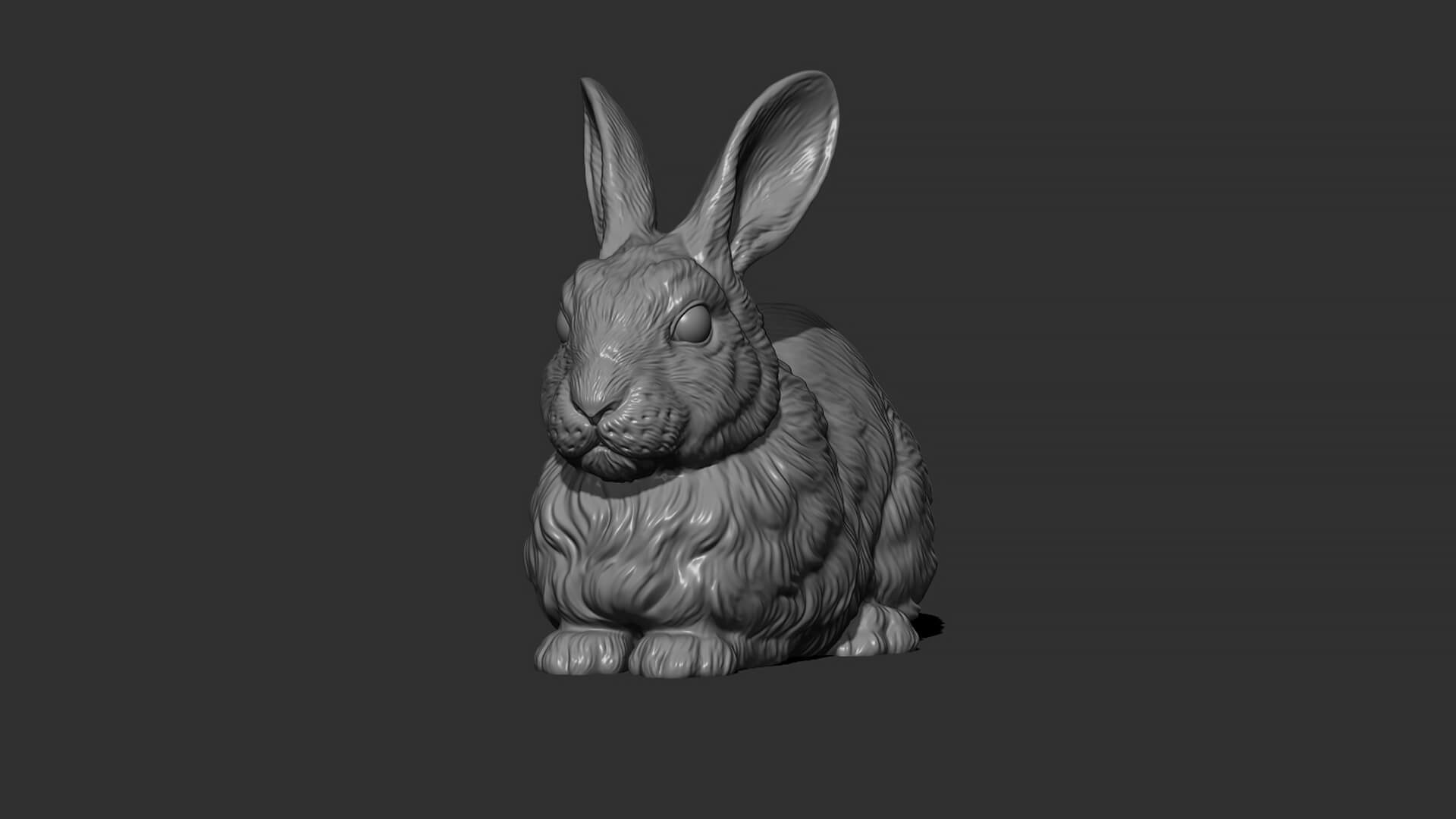 Rabbit Fluffy - 3D Model by guninnik81