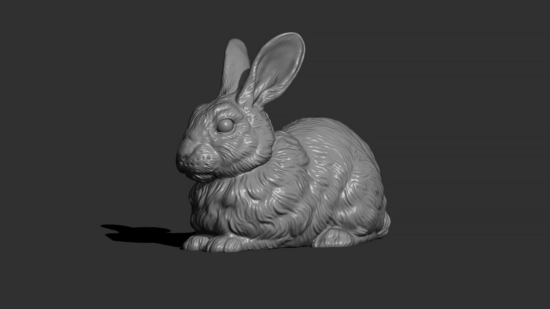 Rabbit Fluffy - 3D Model by guninnik81