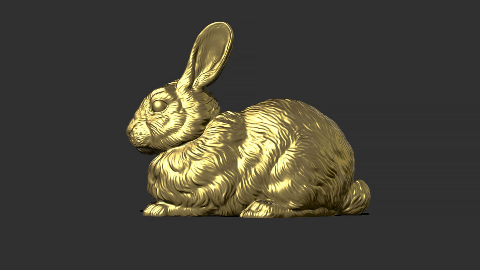 Rabbit Fluffy - 3D Model by guninnik81